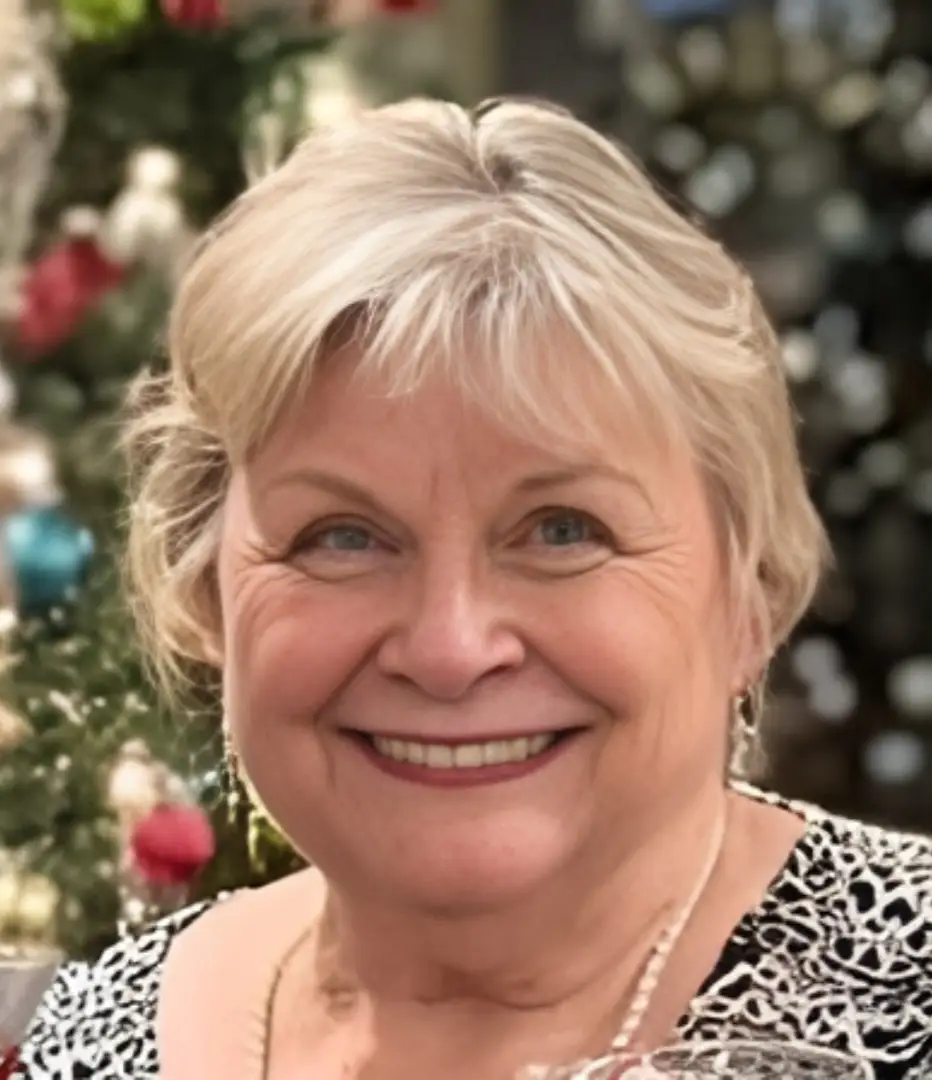 Joan Wise Christmas Idea House
